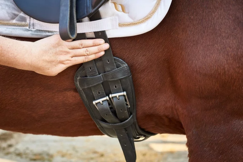 How to Choose the Right Dressage Girth for Your Horse - Infornicle